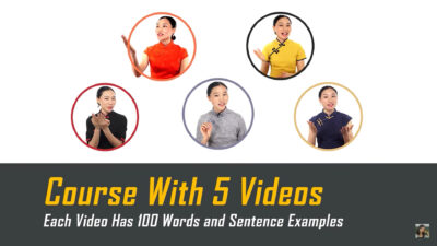 37 Top Chinese Youtube Channels • Detailed Summaries • Dumb Little Man