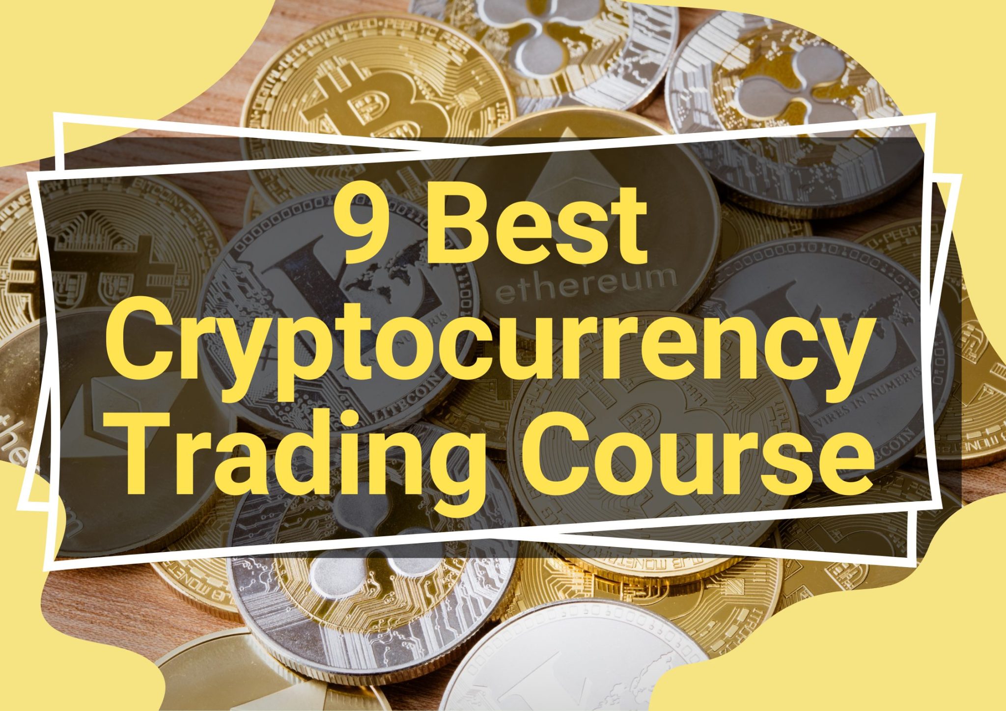 9 Best Cryptocurrency trading course in 2025 • Dumb Little Man