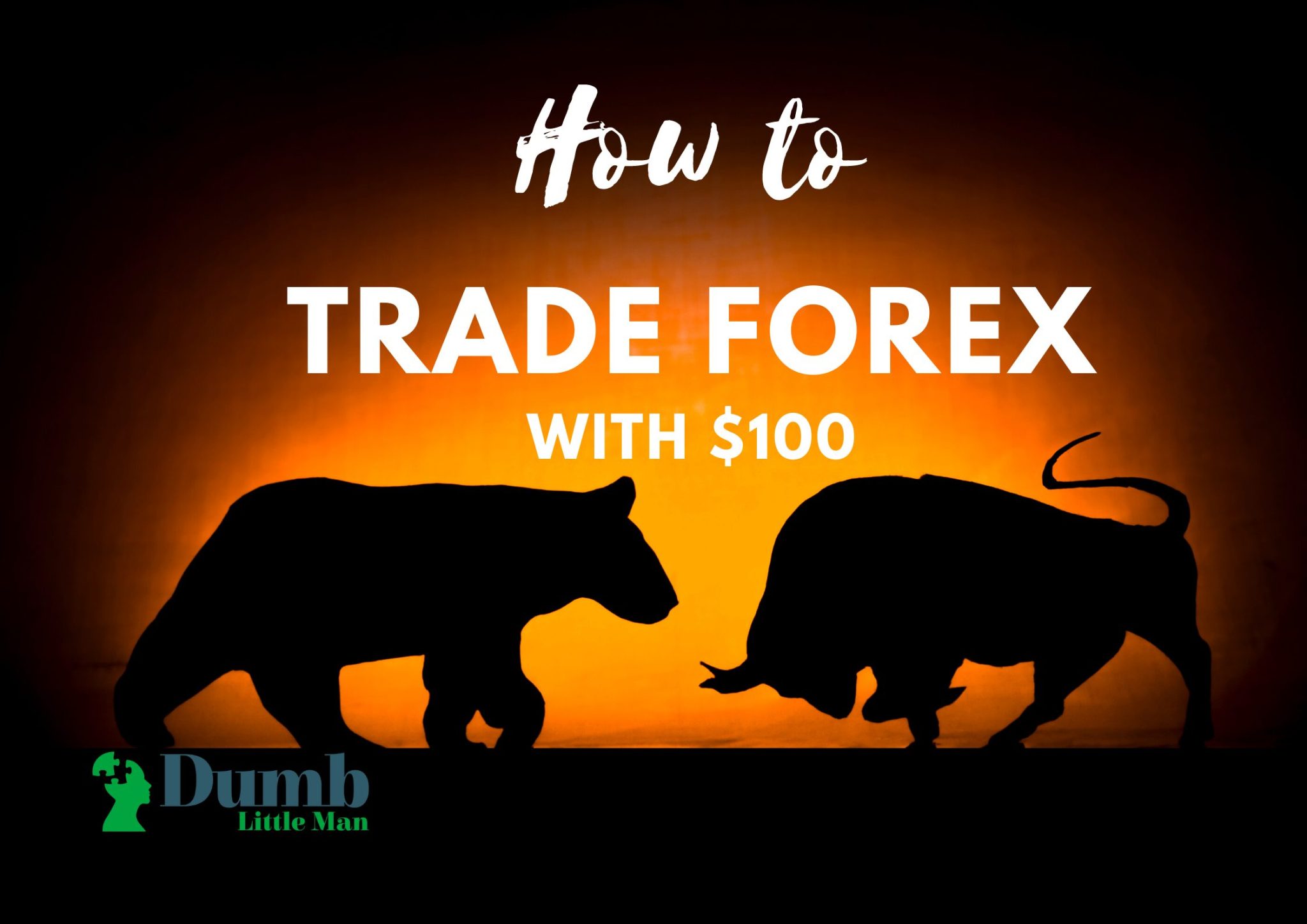 How to Trade Forex with $100 • Dumb Little Man