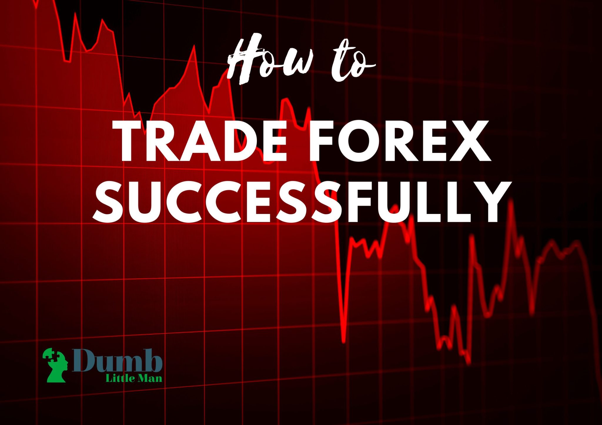 How To Trade Forex Successfully - A 2024 Beginners Guide • Dumb Little Man