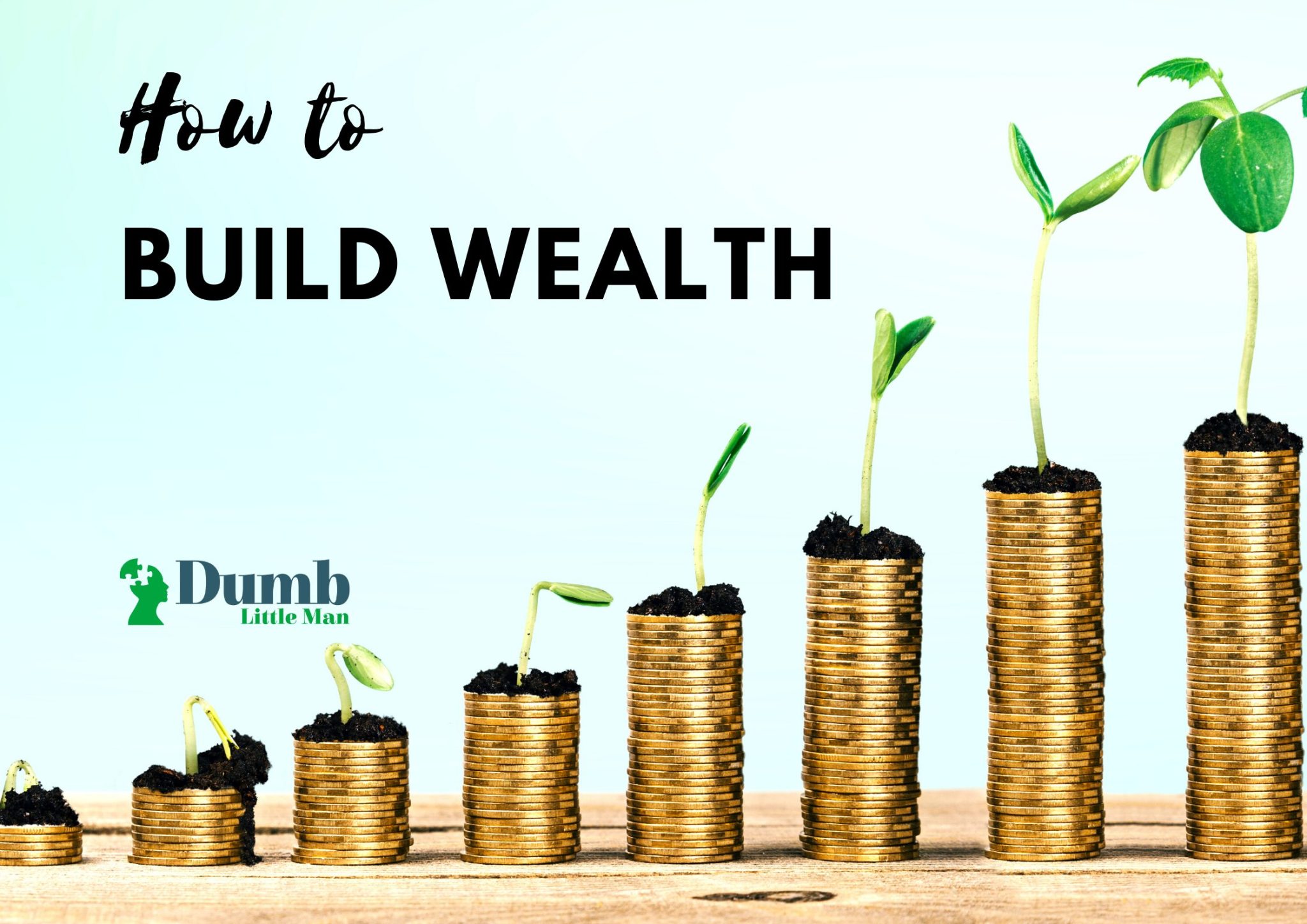 How To Build Wealth in 2026 • Dumb Little Man