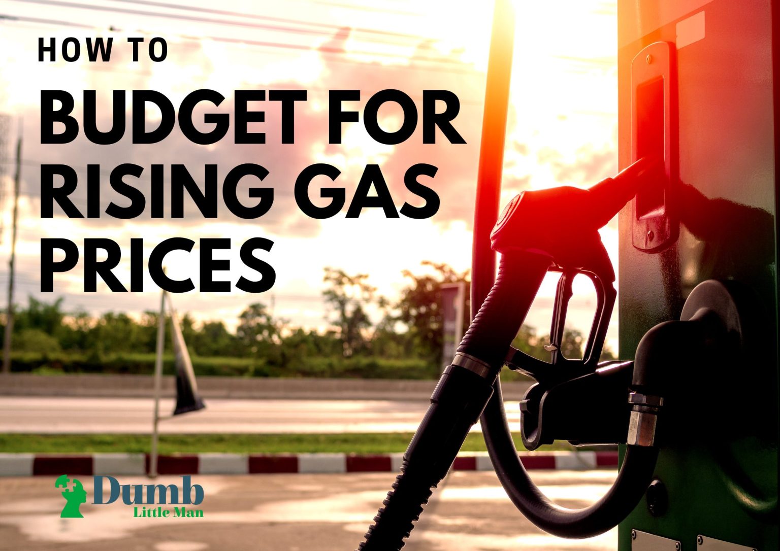 12 Tips On How To Budget For Rising Gas Prices • Dumb Little Man