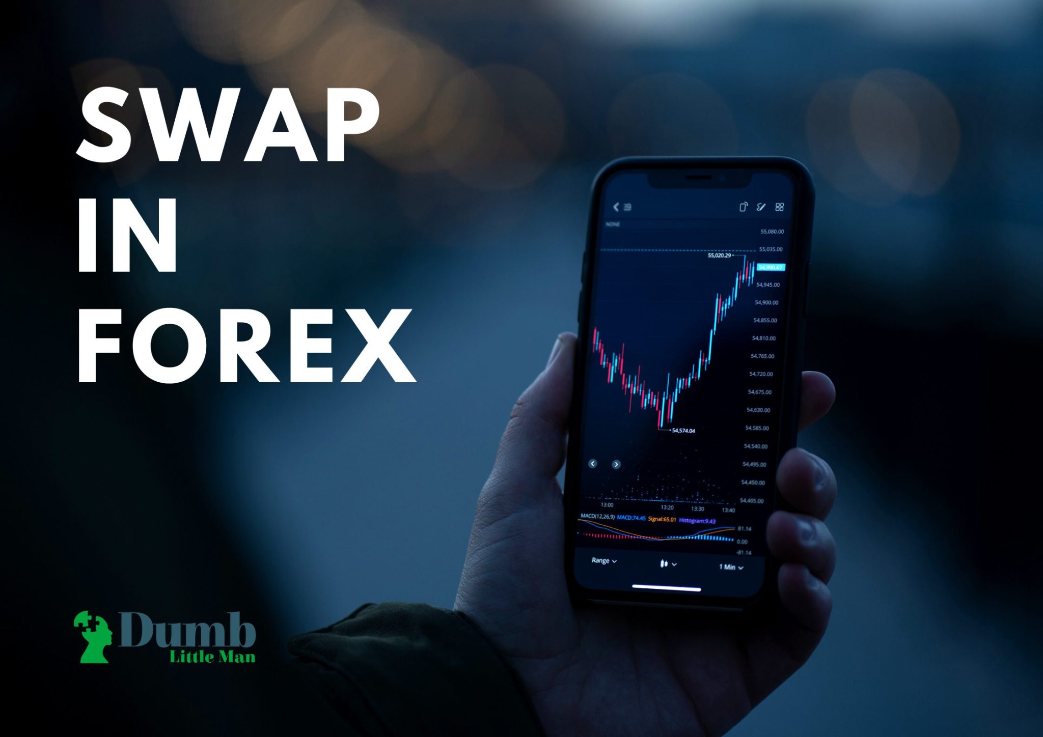 Swap in Forex: How Does It Work and How To Avoid It • Dumb Little Man