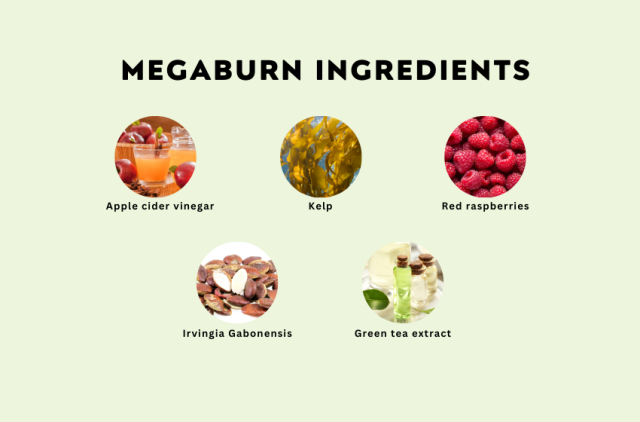 MegaBurn Reviews 2024 • A Scam? • New Way to Lose Weight?